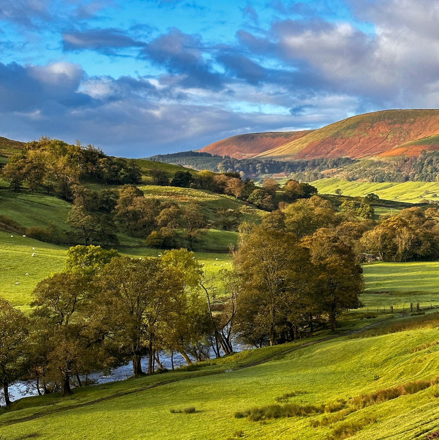 Events – Ribble Valley Borough Council